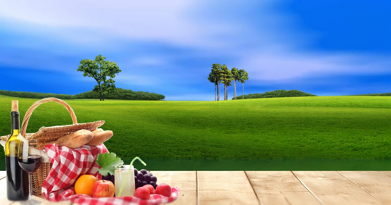 Picknick Sommer Sonne - Kostenloses Foto auf Pixabay - Pixabay