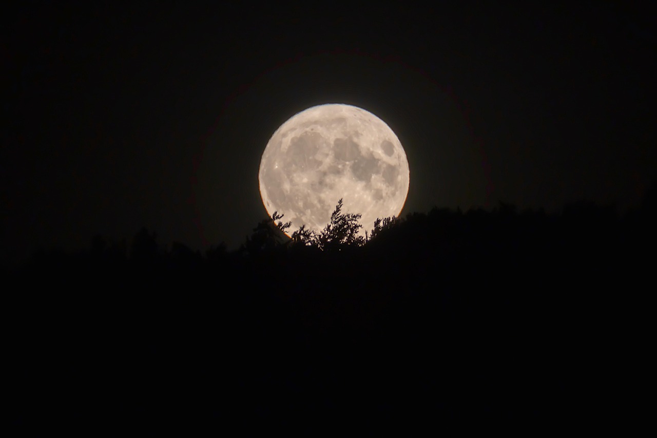 Mondlicht Vollmond Mond - Kostenloses Foto auf Pixabay - Pixabay