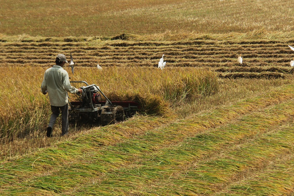 Farmer Farming Field - Ảnh miễn phí trên Pixabay