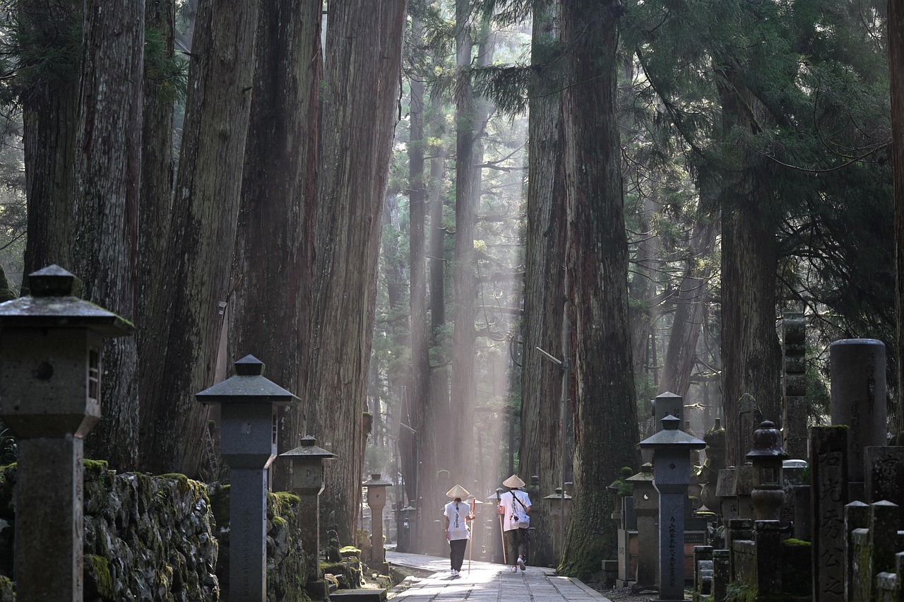 Koyasan Temple Road Forest - Free photo on Pixabay
