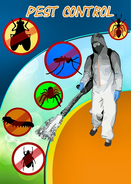 Download Pest Control, Insect Control, Disinsection. Royalty-Free Stock ...