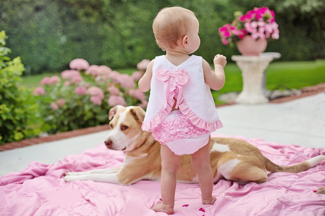 70,000+ Free Baby Dogs & Dog Images - Pixabay