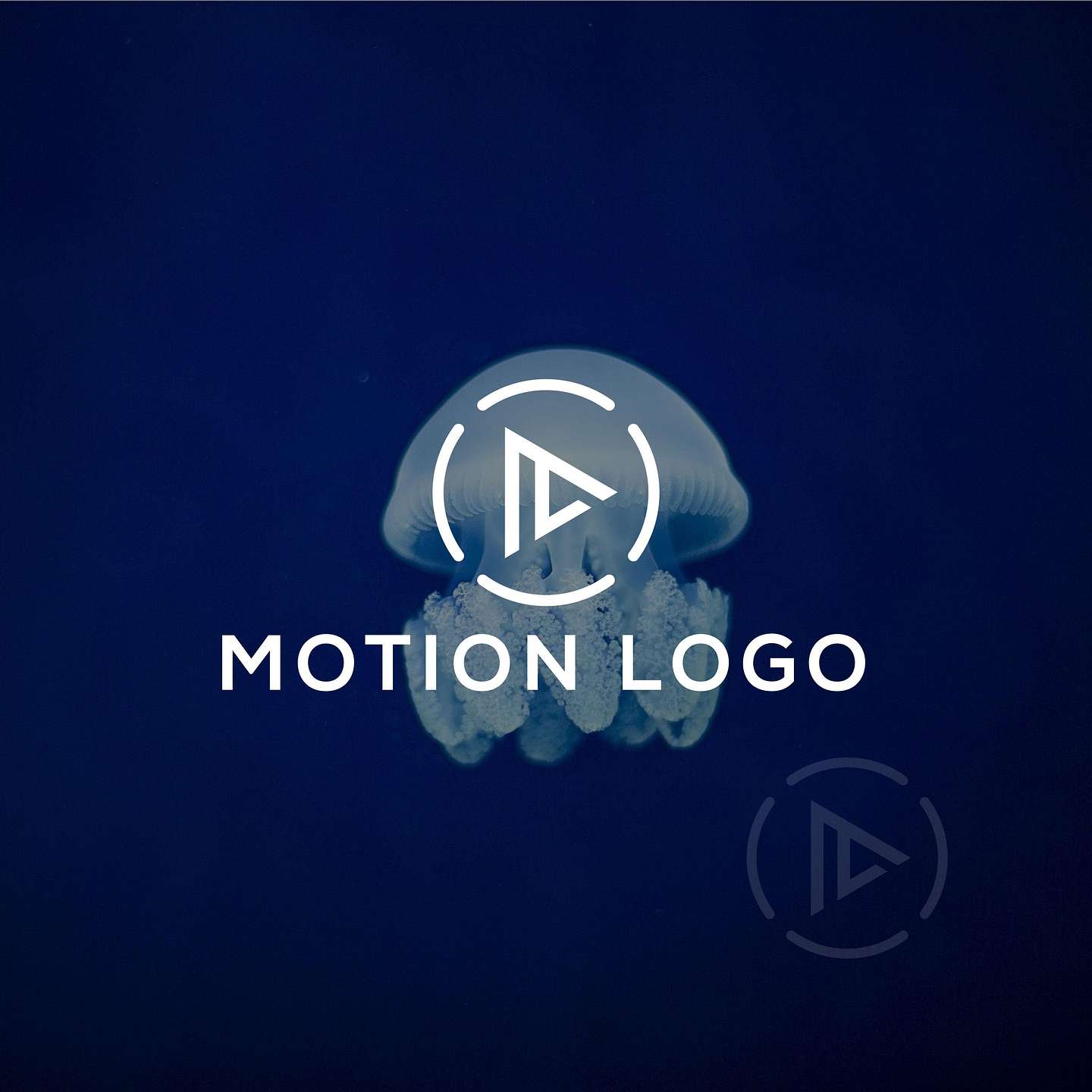Motionlogo - Pixabay