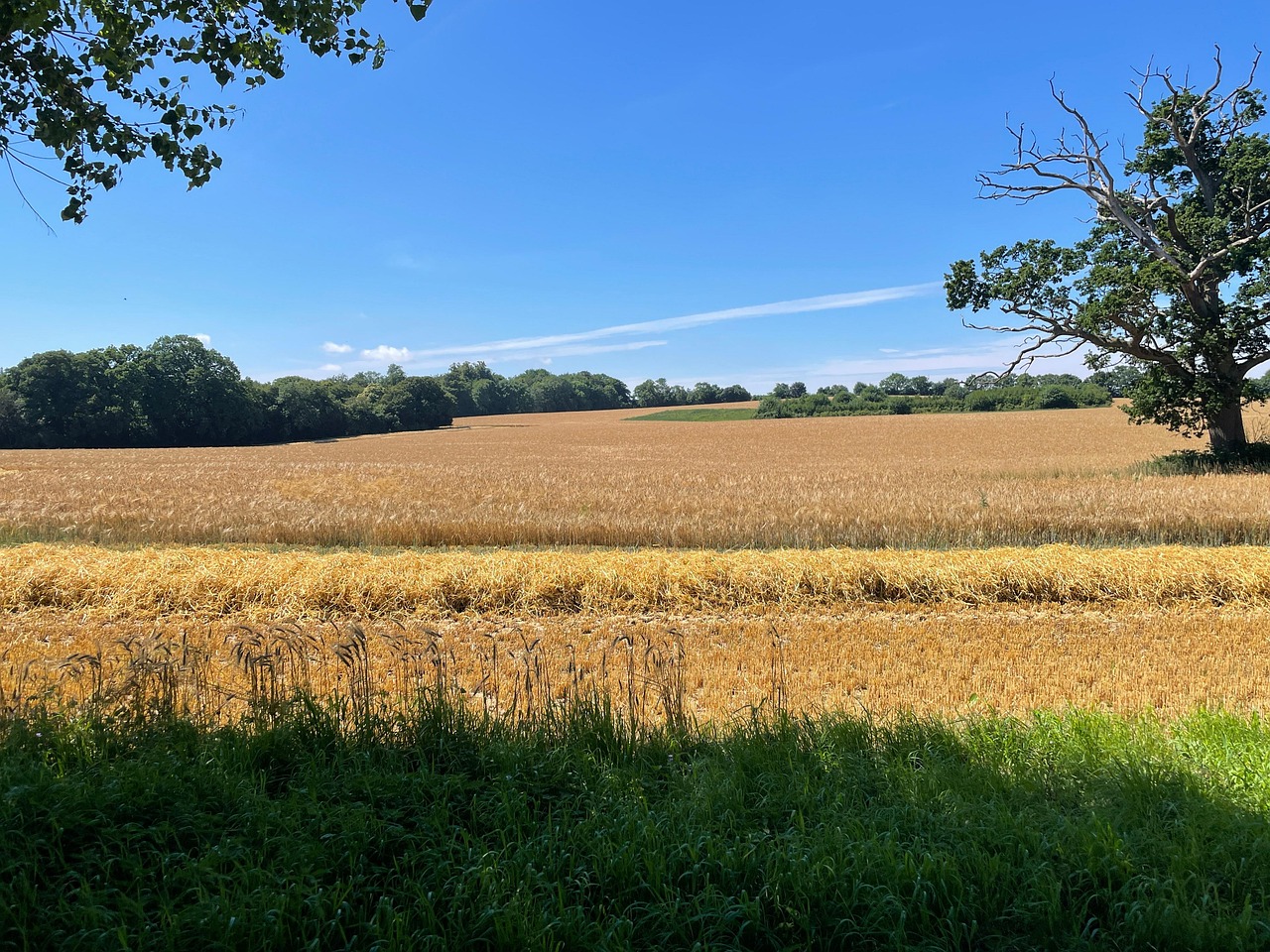 Field Nature Sky - Free photo on Pixabay - Pixabay