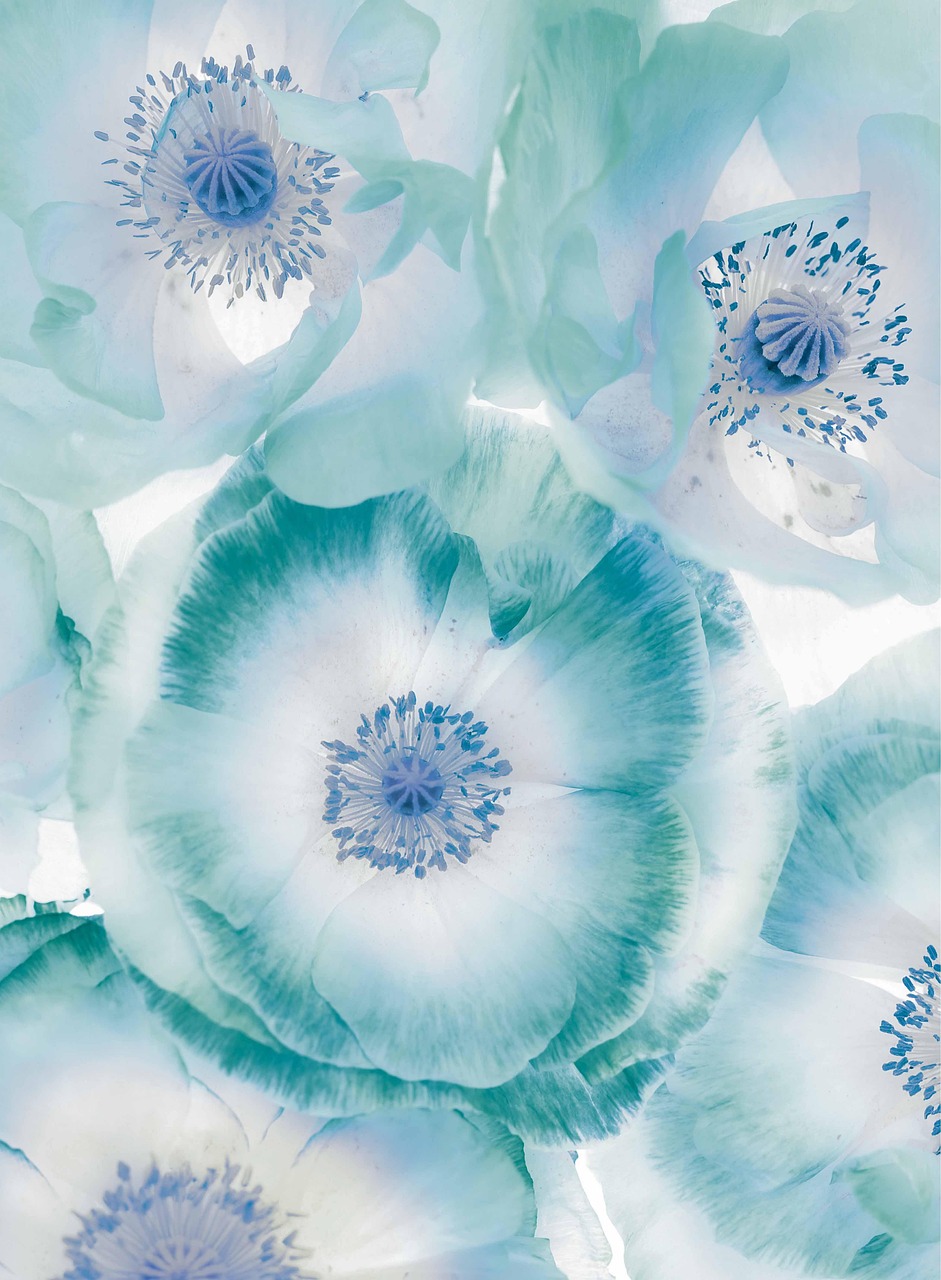 4+ Free Transluscent & Color Images - Pixabay