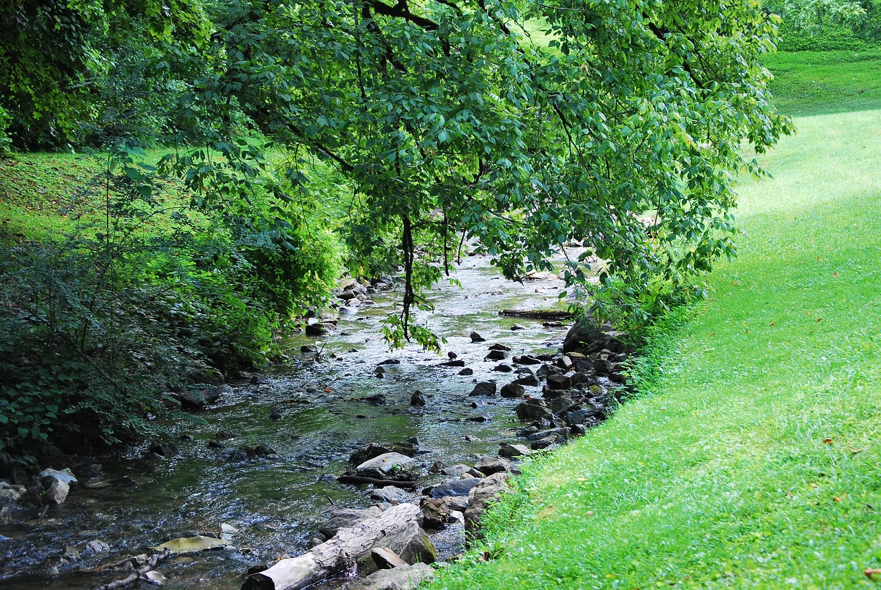 Creek Stream Nature - Free photo on Pixabay