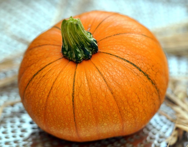 Calabaza Verduras Cosecha - Foto gratis en Pixabay - Pixabay