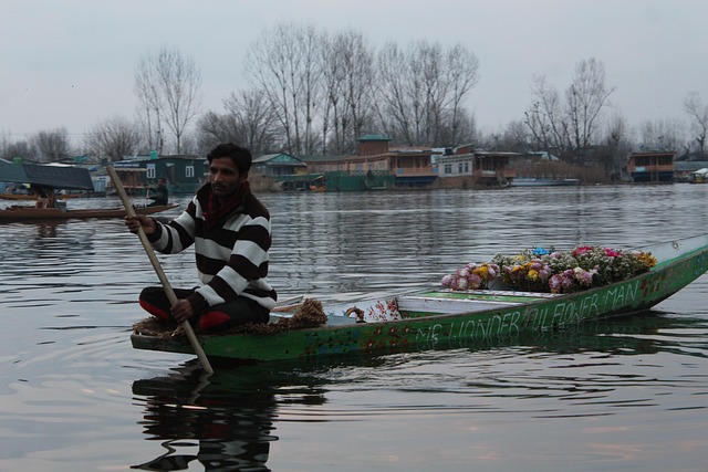 Shikara Srinagar Kashmir - Free photo on Pixabay - Pixabay