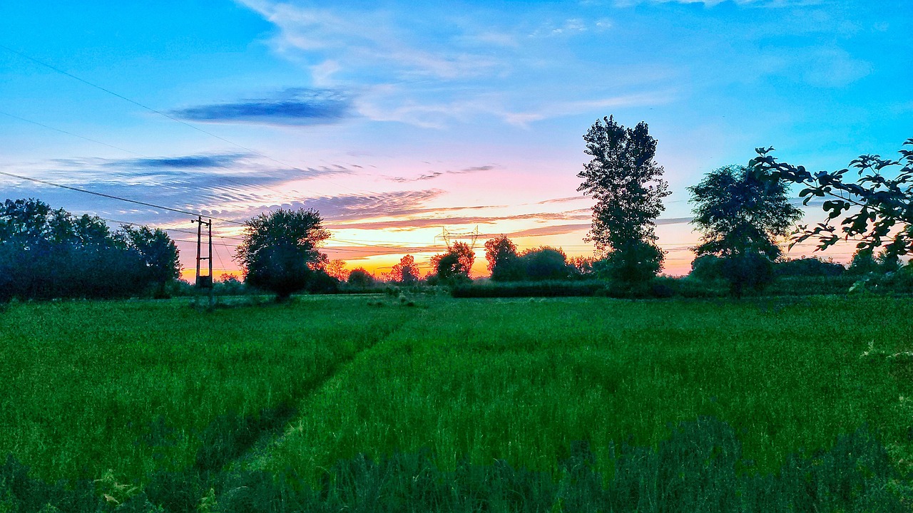 1+ Free Bellón & Sunset Images - Pixabay