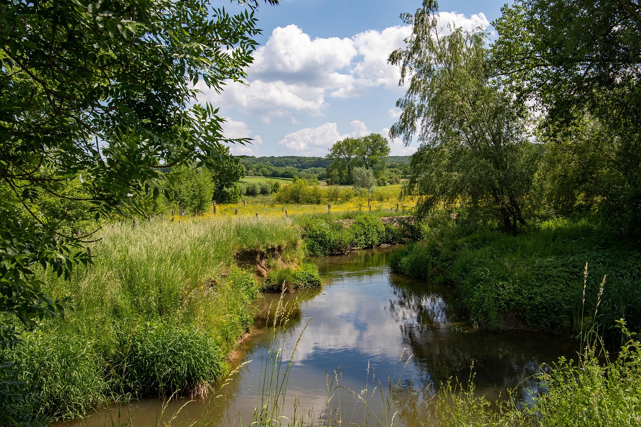 100+ Free Provinsen Limburg & Limburg Images - Pixabay