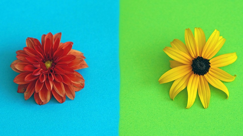 Flower Floral Greeting Card - Free photo on Pixabay - Pixabay