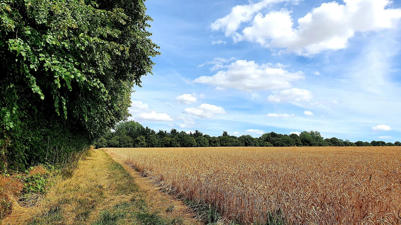 Campagne Anglaise Oxfordshire En - Photo gratuite sur Pixabay - Pixabay
