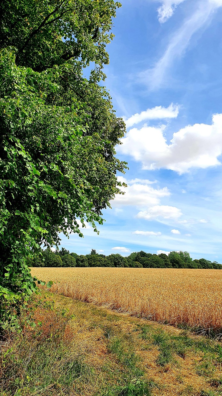 Oxfordshire Countryside Landscape - Free photo on Pixabay - Pixabay