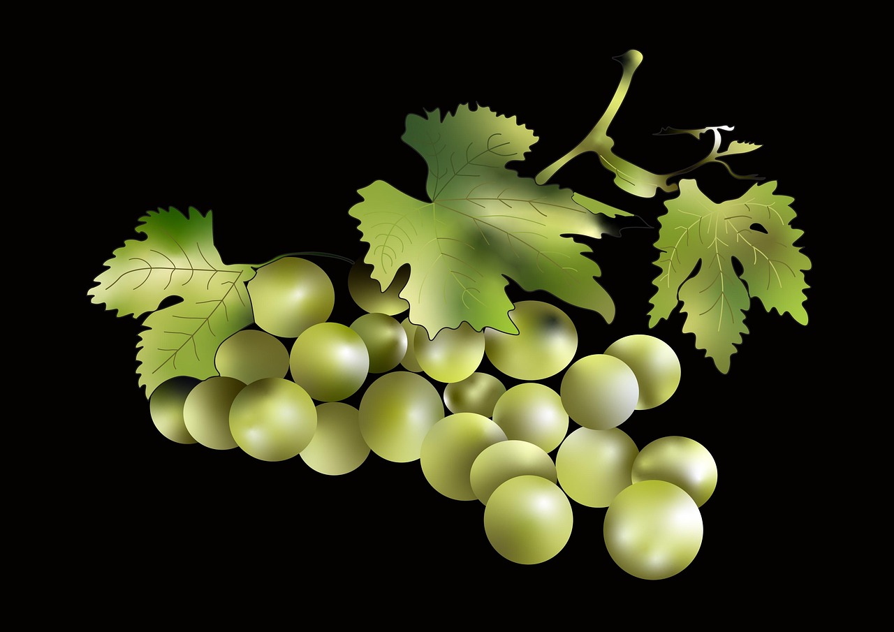 Fondos De Fotos De Uvas Gratis