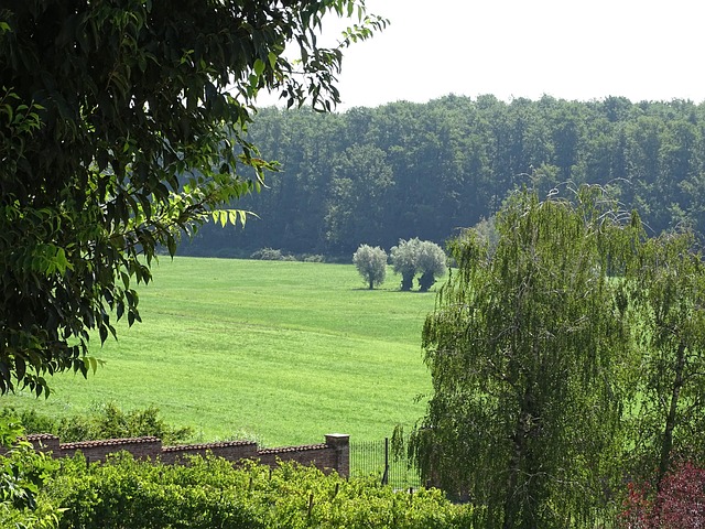 Country Nature Landscape - Free photo on Pixabay - Pixabay