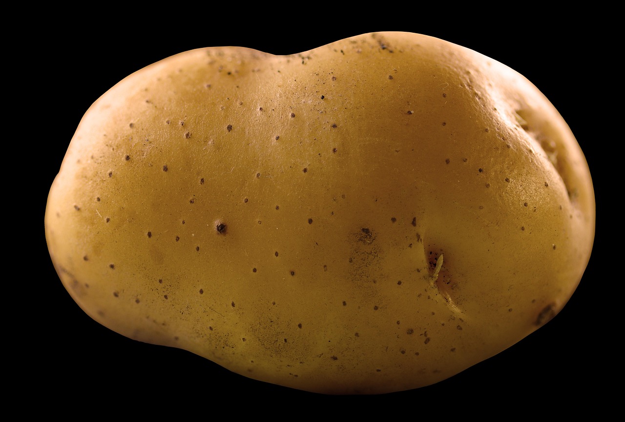 Food Potato Vegetable - Free photo on Pixabay