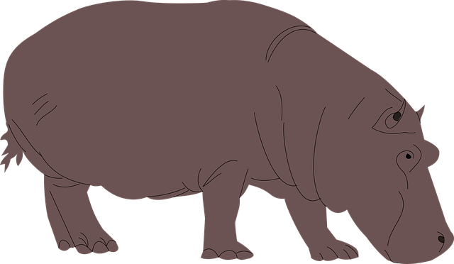Cartoon Hippo Hippopotamus - Free vector graphic on Pixabay