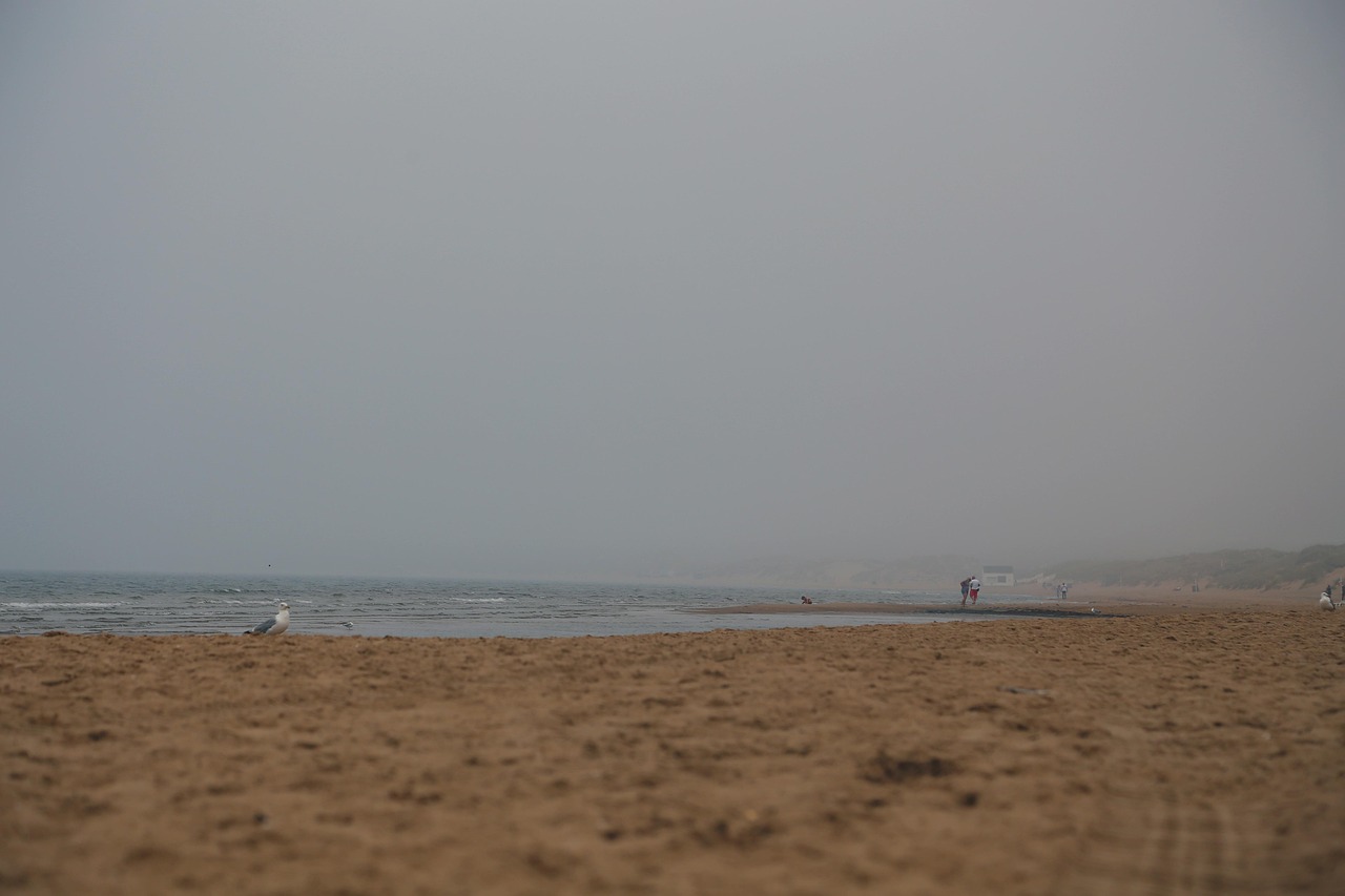 Fundo De Praia Do Oceano - Foto gratuita no Pixabay - Pixabay
