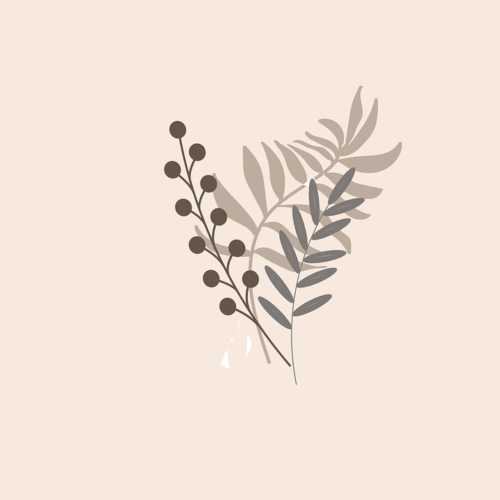 Download Leaves, Foliage, Boho Art Style. Royalty-Free Stock ...