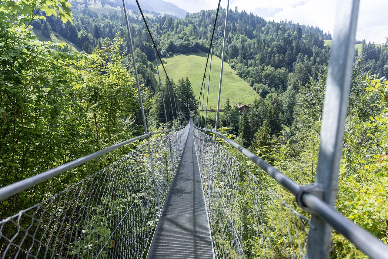 100+ Free Hanging Bridge & Bridge Photos - Pixabay