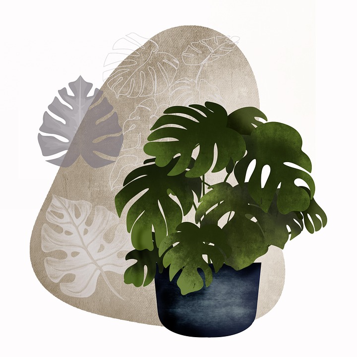 Download Monstera, Leaves, Boho Art Style. Royalty-Free Stock ...
