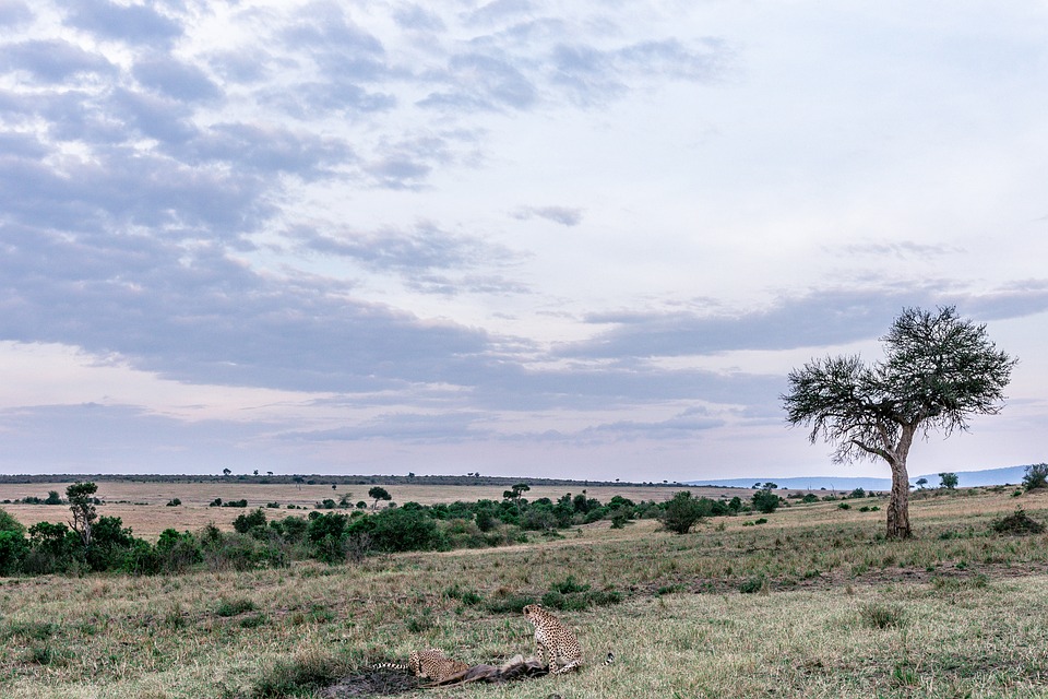 Kenya Narok La Vallée Du Rift - Photo gratuite sur Pixabay - Pixabay