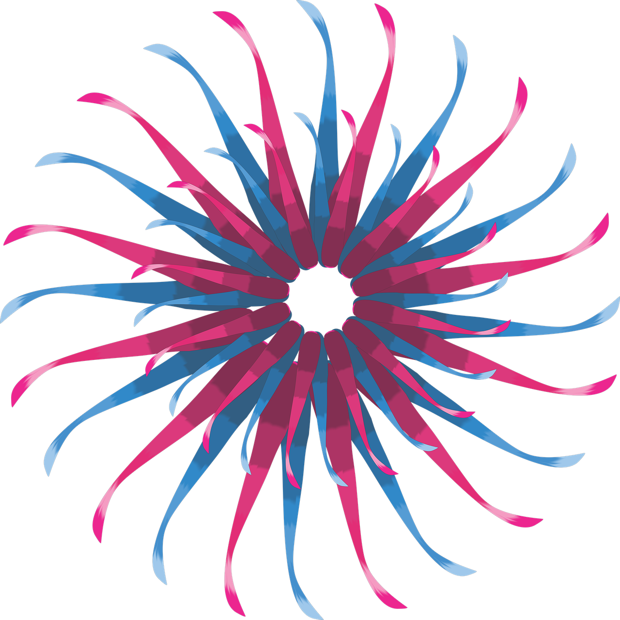Fleur Modèle Conception Arts - Image gratuite sur Pixabay - Pixabay