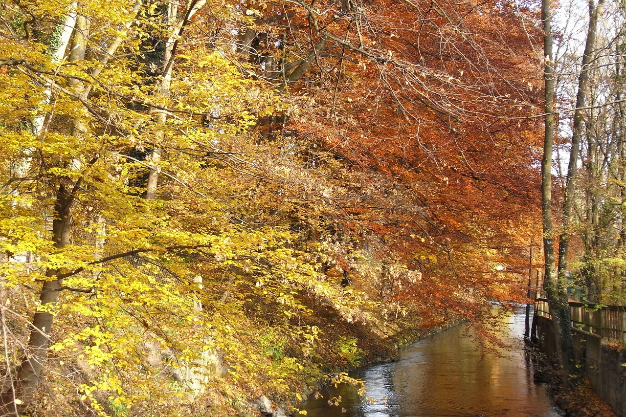 Ruisseau Flux L'Eau La - Photo gratuite sur Pixabay - Pixabay