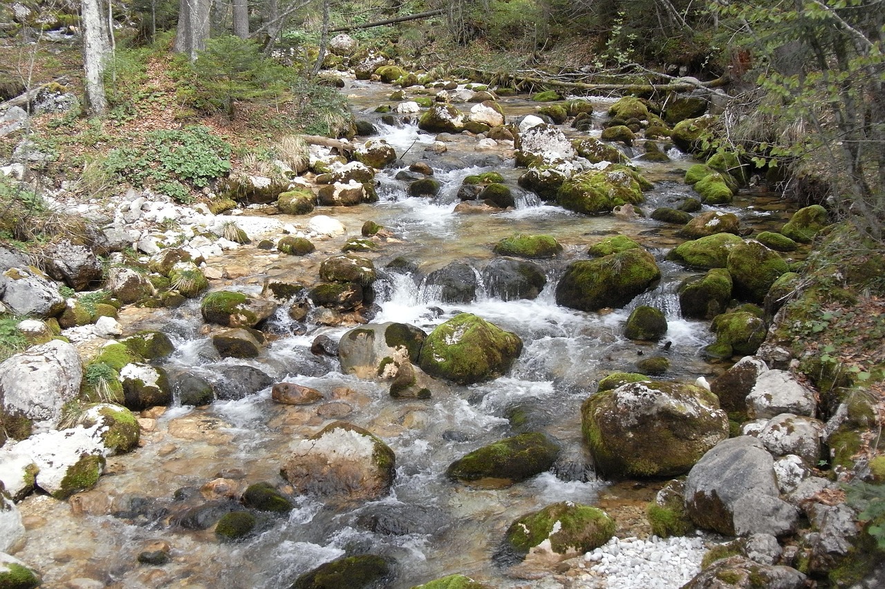 La Nature Ruisseau L'Eau - Photo gratuite sur Pixabay - Pixabay