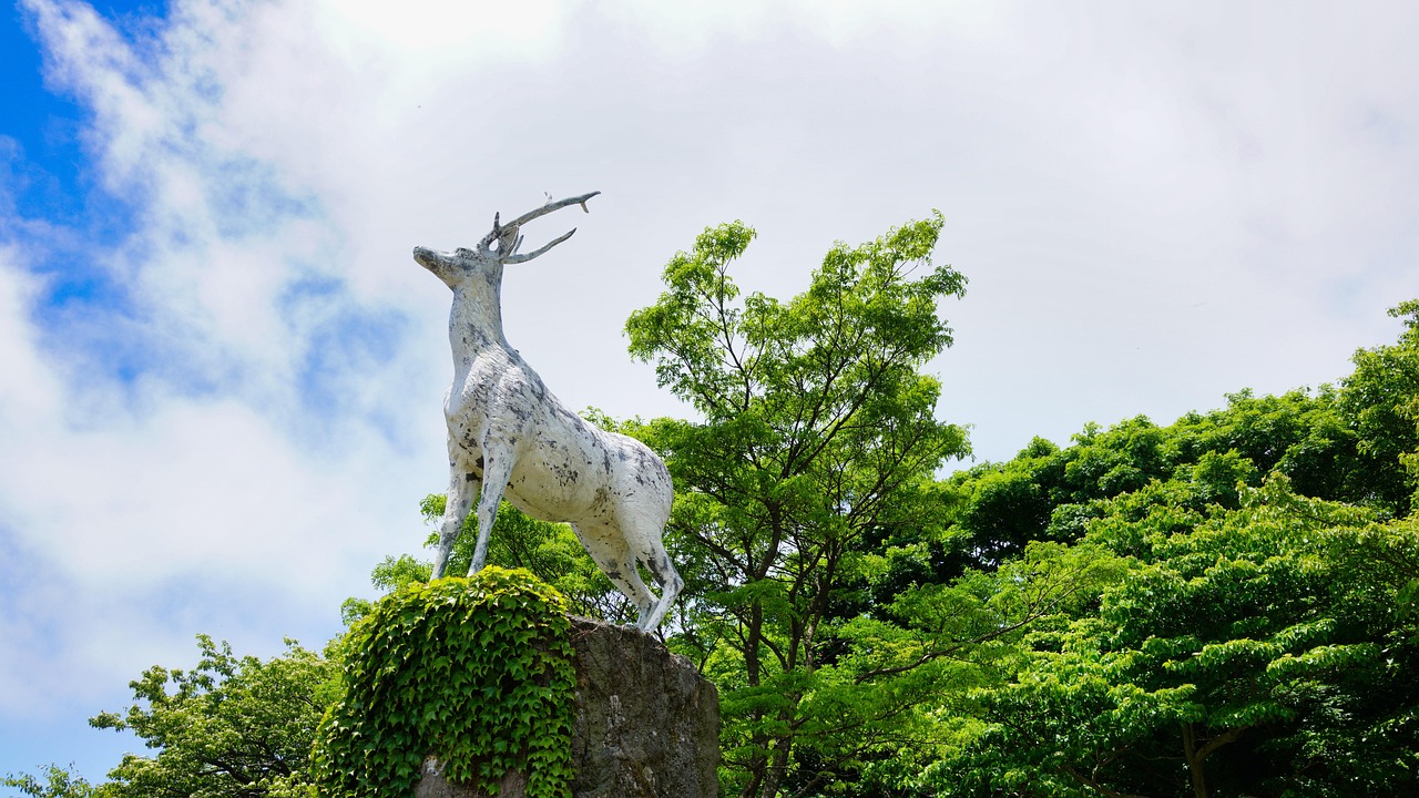 Korea Jeju Nature - Free photo on Pixabay - Pixabay