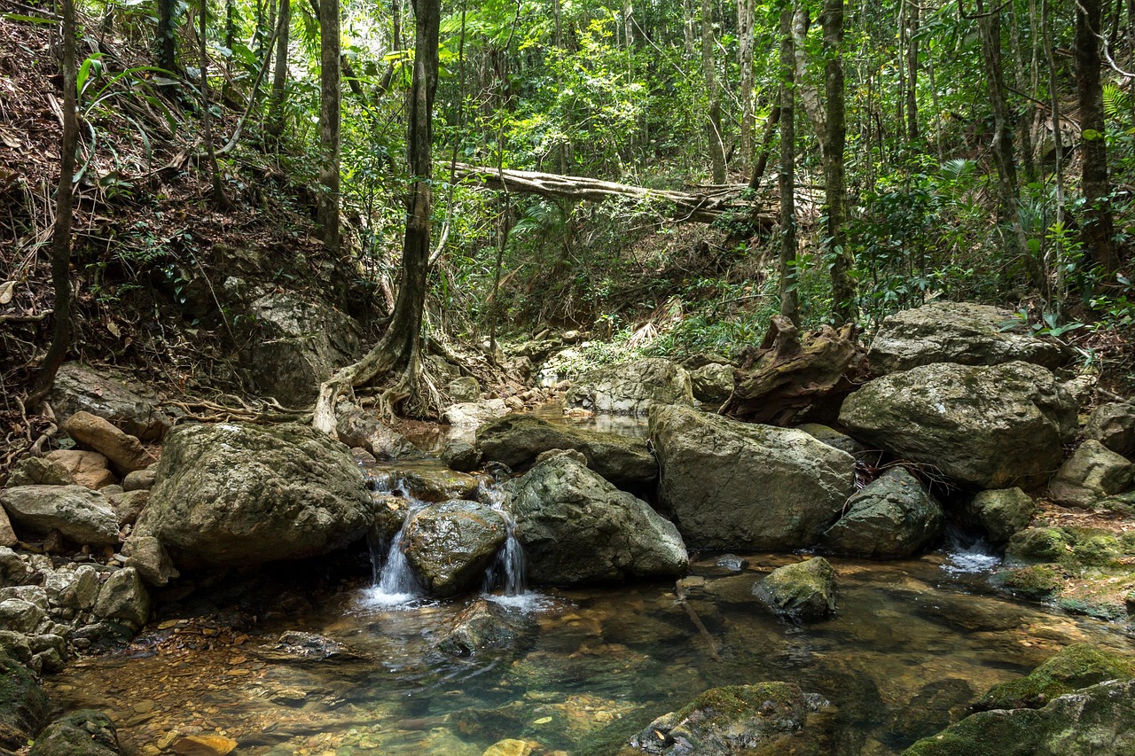 Riacho Agua Natureza - Foto gratuita no Pixabay - Pixabay