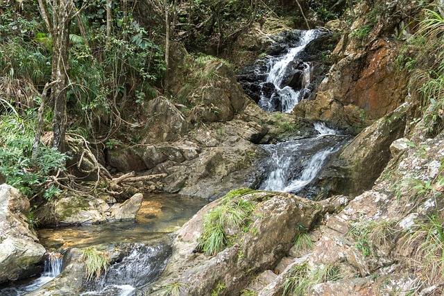 Riacho Agua Natureza - Foto gratuita no Pixabay - Pixabay