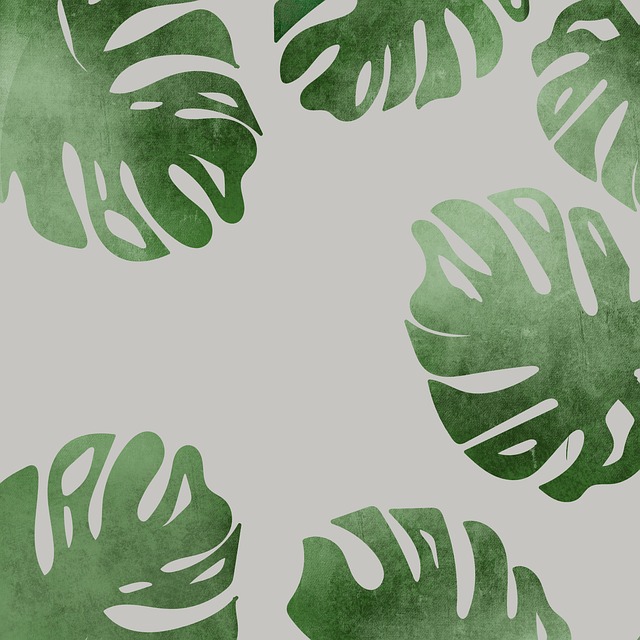 Monstera Pflanze Tropisch - Kostenloses Bild auf Pixabay - Pixabay