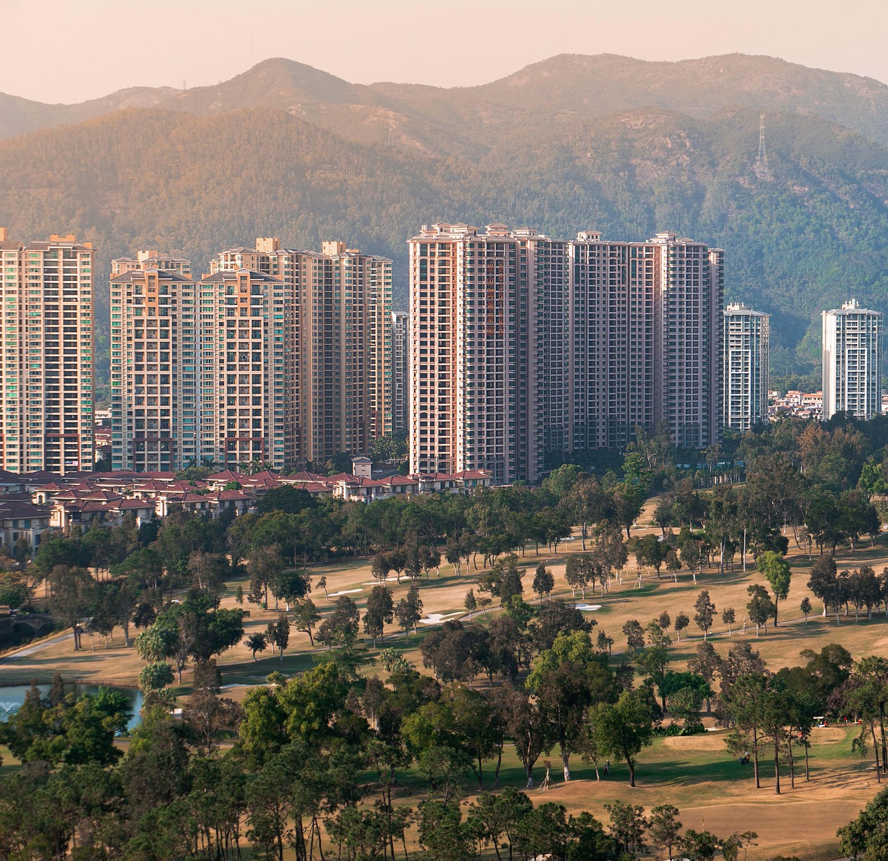 High-Rise Buildings Suburbs Trees - Free photo on Pixabay - Pixabay