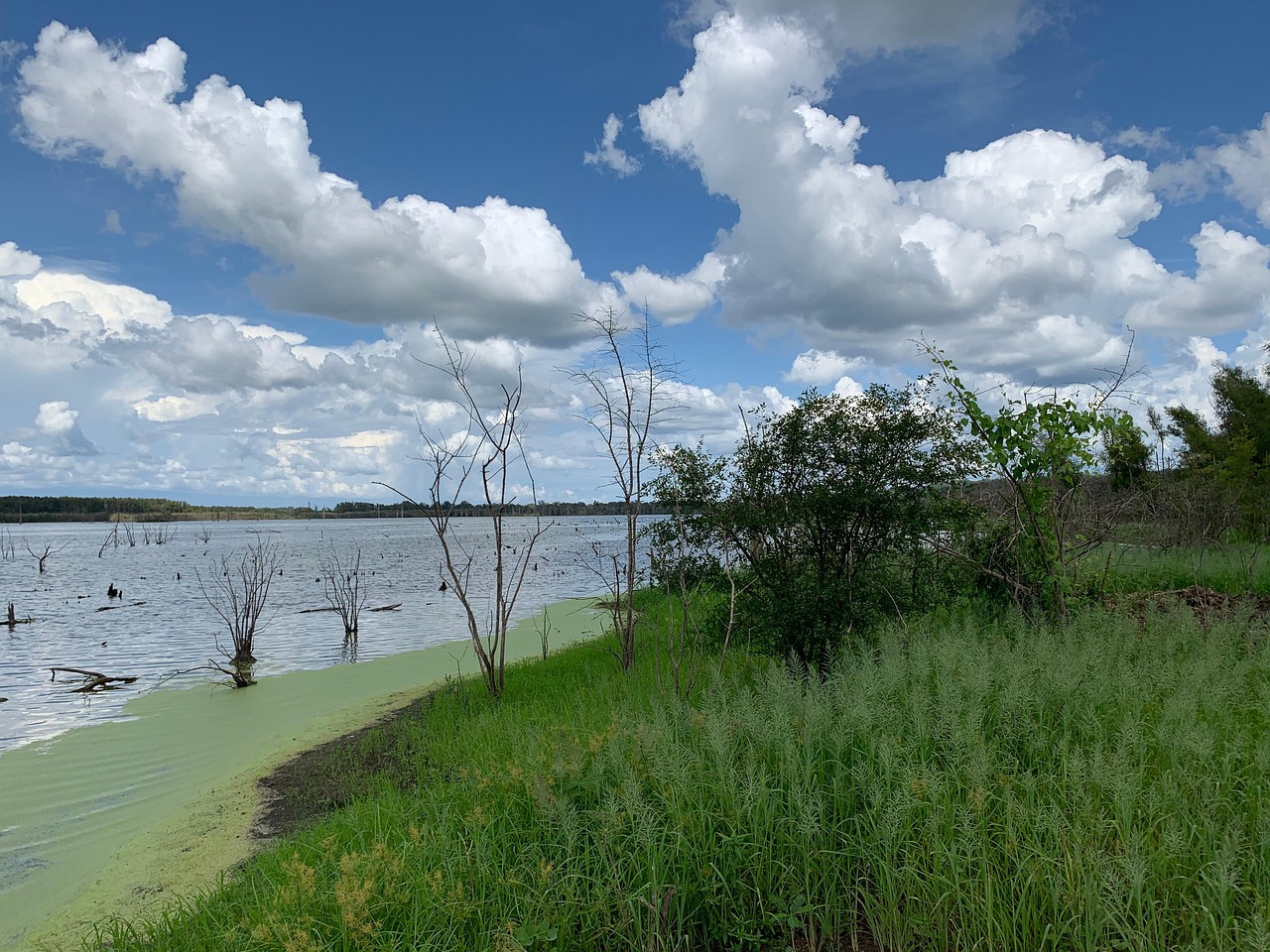 Butler Lake Mississippi - Free photo on Pixabay