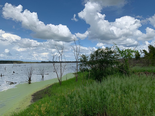 Butler Lake Mississippi - Free photo on Pixabay