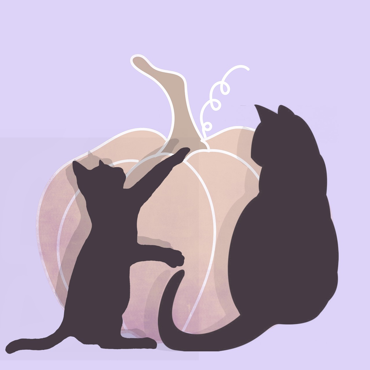 Download Pumpkin Black Cats Halloween Background Royalty-Free Stock ...