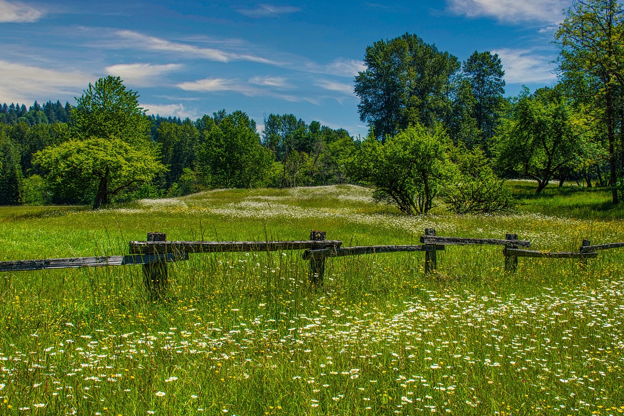 5,000+ Free Washington State & Nature Images - Pixabay