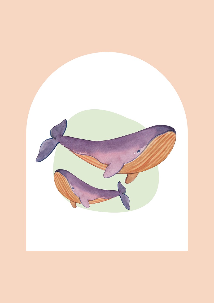 Explore 716+ Free Whale Illustrations: Download Now - Pixabay