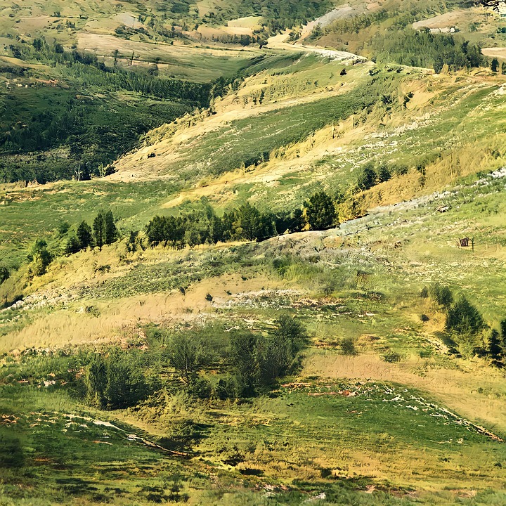 Nature Environnement Colline - Photo gratuite sur Pixabay - Pixabay