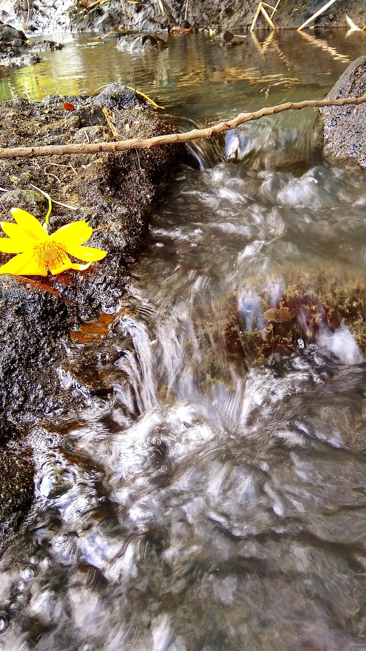 Water River Nature - Free photo on Pixabay - Pixabay