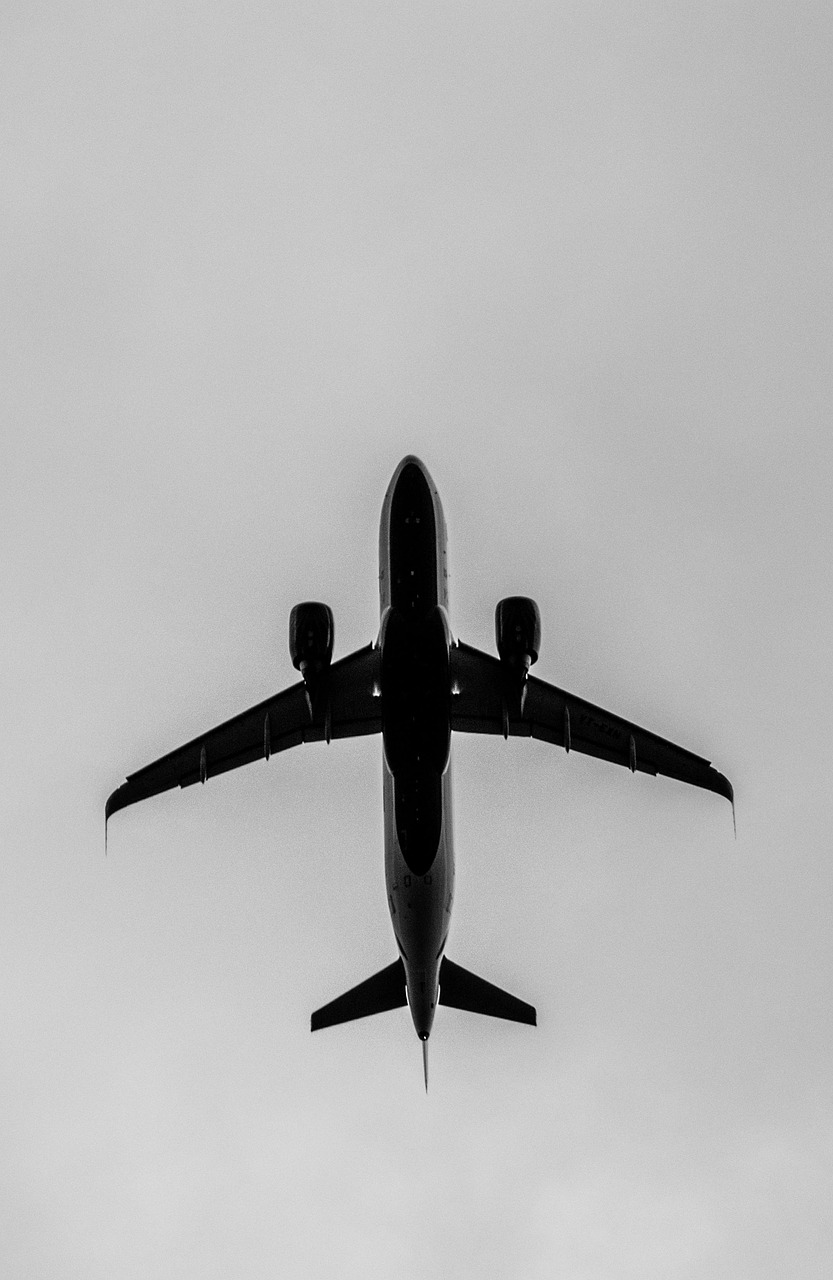 Avion Monochrome En Volant - Photo gratuite sur Pixabay - Pixabay