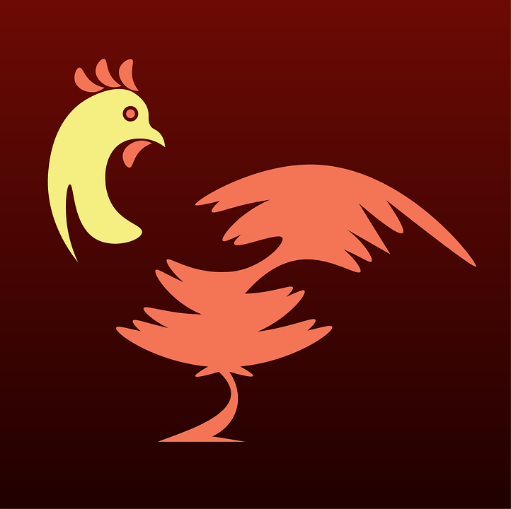 Gallo Pollo Logo - Gráficos vectoriales gratis en Pixabay - Pixabay