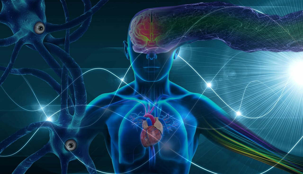 1,000+ Free Humanoid & Robot Images - Pixabay