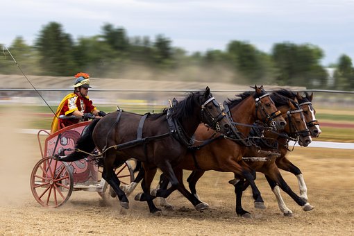 10+ Free Concour & Horse Race Images - Pixabay