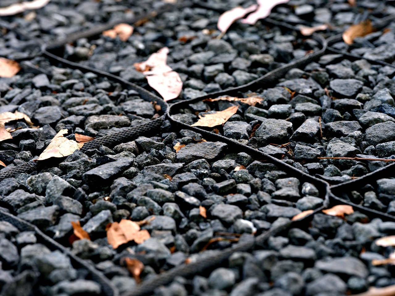 Verharde Weg Pad Grind - Gratis foto op Pixabay - Pixabay