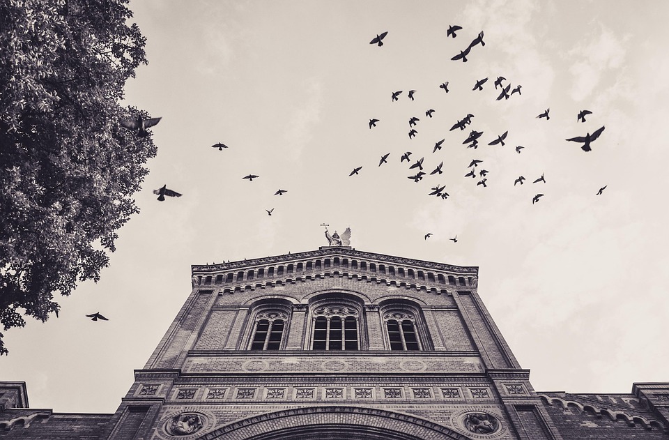 Church Flock Of Birds Building - Free photo on Pixabay - Pixabay