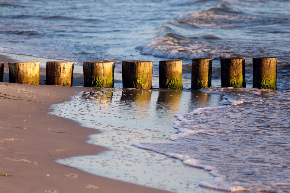 Baltic Sea Beach Hiddensee - Free photo on Pixabay