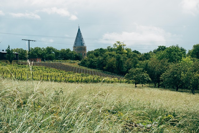 Hesse Allemagne Gazon Sur Le - Photo gratuite sur Pixabay - Pixabay