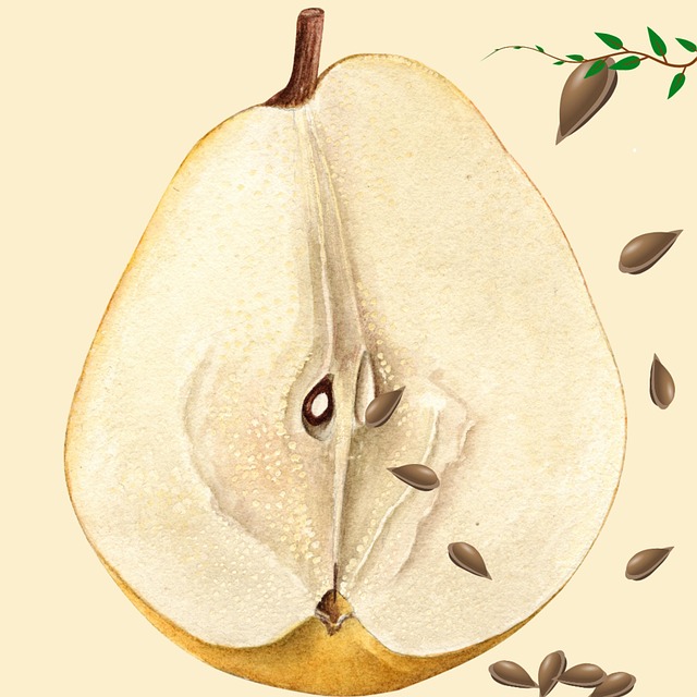 9,000+ Free Seed Germination & Germination Images - Pixabay
